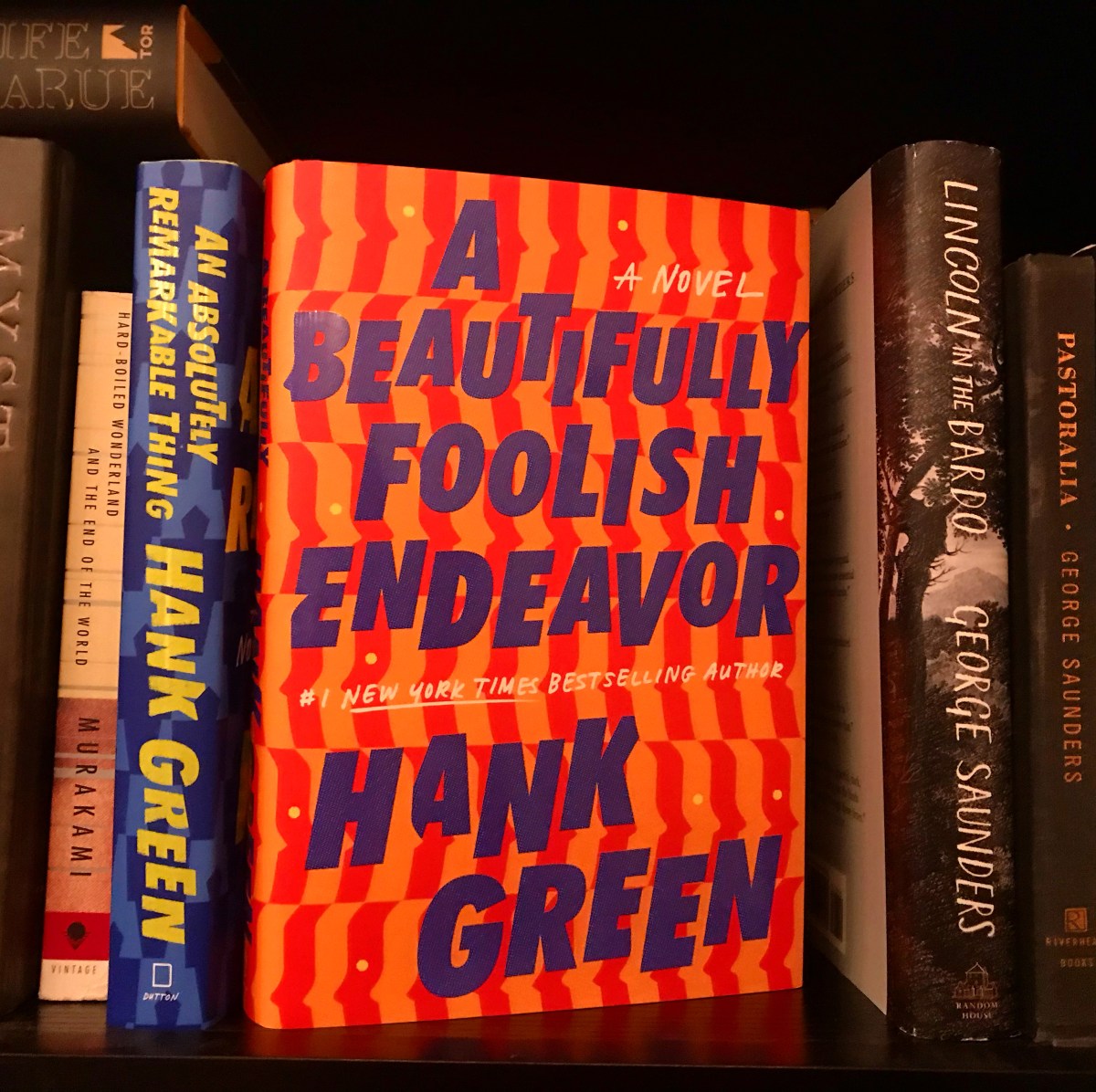 Team Review: A Beautifully Foolish Endeavor – Lit Lens